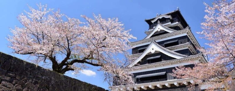 Kumamoto: Castle Admission Ticket - The Wakuwakuza Museum: An Interactive Journey