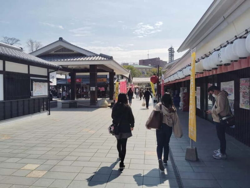 Kumamoto: Castle & Culture Trip from Hakata to Kumamoto - Practicalities and Tips