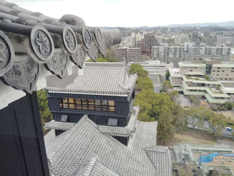 Kumamoto: Castle & Culture Trip from Hakata to Kumamoto - Who will love this?