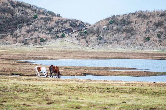 Kumamoto Castle Kusasenri and Aso Crater Tour in Fukuoka/Kumamoto - Who Will Appreciate This Tour?