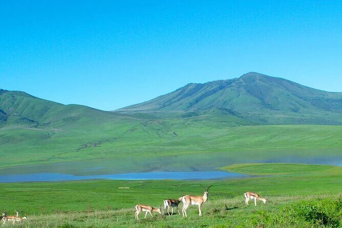 Kumamoto Castle Kusasenri and Aso Crater Tour in Fukuoka/Kumamoto - FAQs