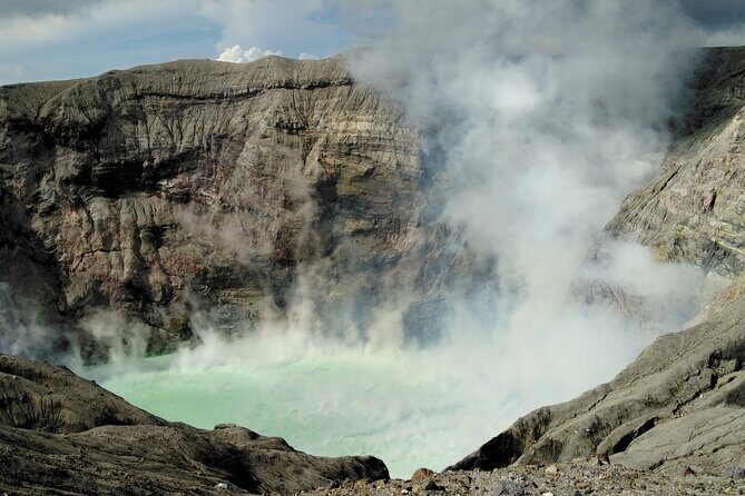 Kumamoto Castle Suizenji Garden and Aso Full-Day Tour Option - Introduction