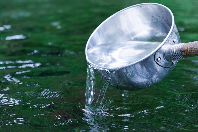 Kumamoto Castle Suizenji Garden and Aso Full-Day Tour Option - Logistics and Practicalities