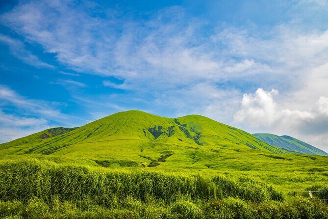 Kumamoto Castle Suizenji Garden and Aso Full-Day Tour Option - The Sum Up