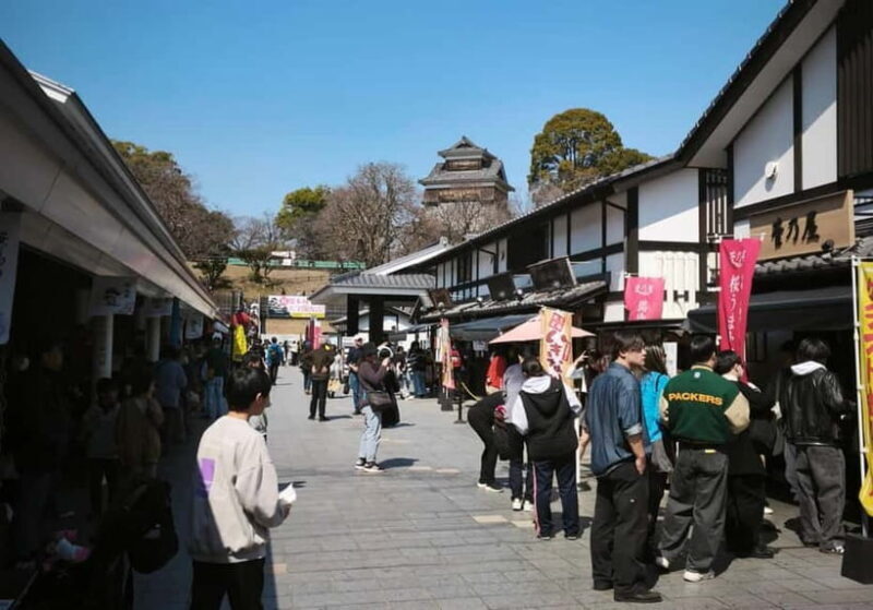 Kumamoto City: Private Castle Tour & Hidden Local Eats - Key Points