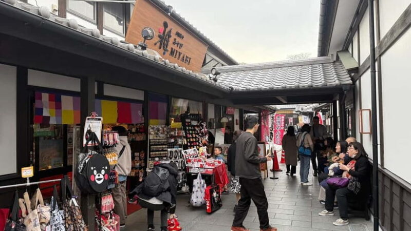 Kumamoto City: Private Castle Tour & Hidden Local Eats - A Detailed Look at the Kumamoto Private Tour