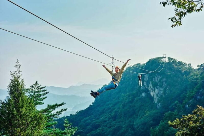 Kumamoto: Dolphin Watching and Zipline Experience Tour - Seafood Lunch: Taste of the Local Coast