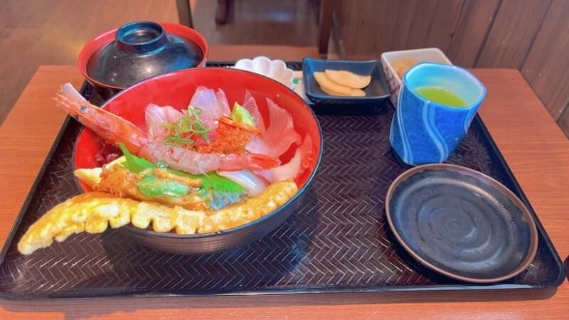 Kumamoto: Dolphin Watching and Zipline Experience Tour - Additional Considerations