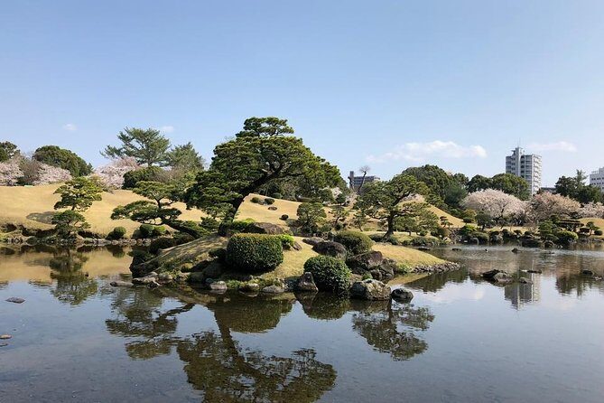 Kumamoto Full-Day Private Tour with Government-Licensed Guide - What To Expect from the Experience