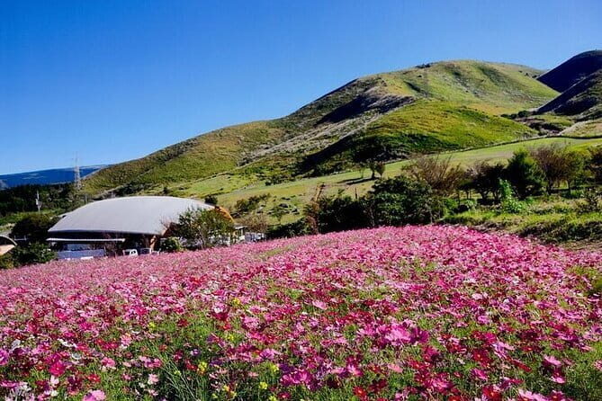 Kumamoto Iconic Statues World of Pirates Adventure Tour - An in-depth look at the Kumamoto “World of Pirates” Tour
