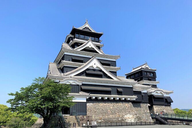 Kumamoto: Kumamoto Castle, Kato Shrine, & Museum Tour 3h - Why This Tour Appeals to Travelers