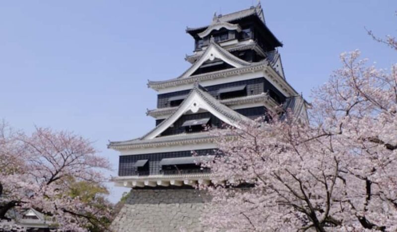 Kumamoto: Samurai Heritage Private Tour with Local Guide - The Heart of the Tour: Kumamoto Castle