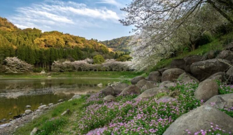 Kumamoto: Samurai Heritage Private Tour with Local Guide - Indulging in Kumamotos Culinary Gems