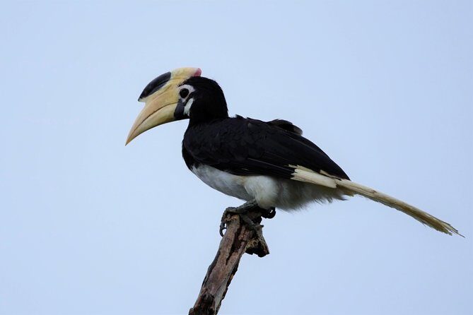 Kumana National park Full day safari - What Makes This Tour Special