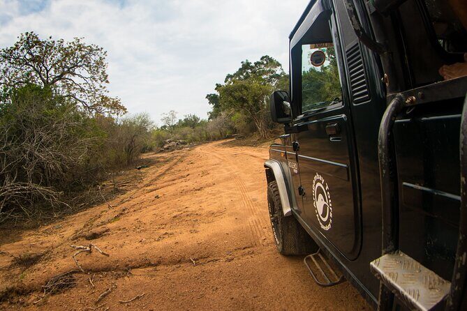 Kumana National Park Half Day Jeep Safari - Why Choose the Kumana National Park Safari?
