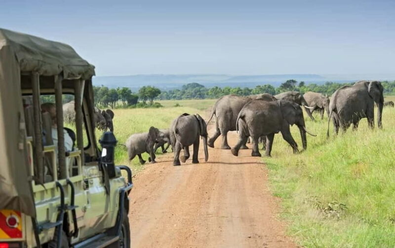 Kumana National Park Leopard Safari PRIVATE Tour - Key Points