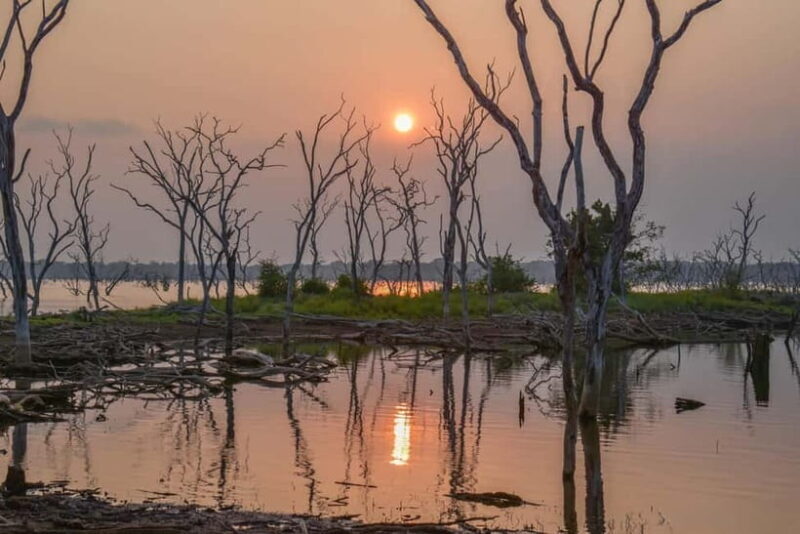 Kumana National Park Leopard Safari PRIVATE Tour - The Sum Up: Who Will Love This Tour?