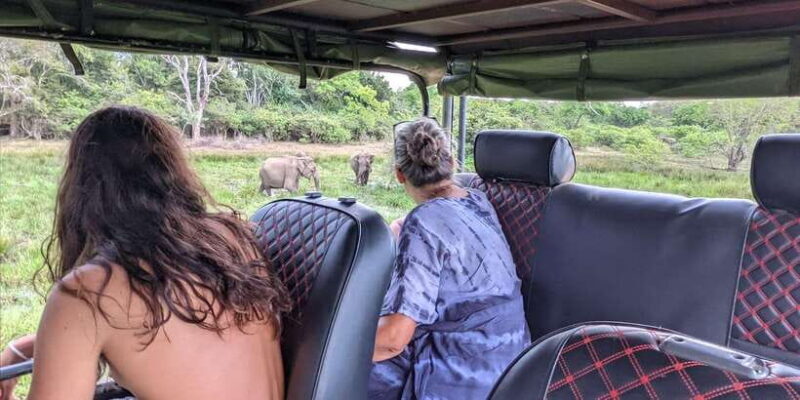 Kumana National Park : Morning or Afternoon Safari (6 h) - FAQs