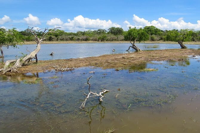 Kumana National Park Private Safari - FAQ