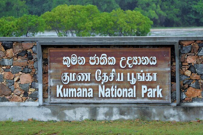 Kumana National Park Safari | from Arugam Bay - Final Thoughts