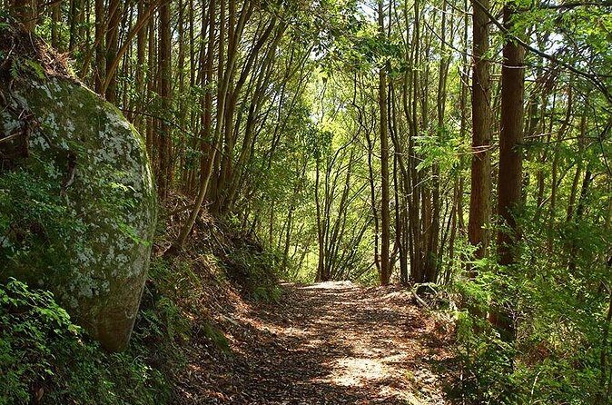 Kumano Kodo 2 Day Tour from Osaka - Who Will Love This Tour?
