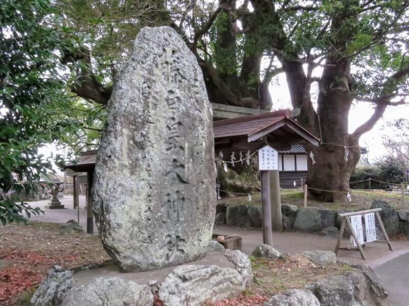 Kumano Kodo: Guided Kiiji Walking Tour in Kainan City - Fujishiro Shrine and Haraido Oji