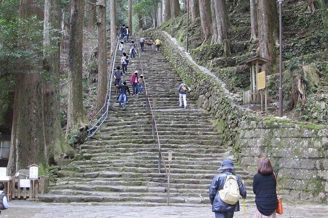 Kumano Kodo Half Day Daimonzaka and Nachi Taisha Tour - Who Will Love This Tour?