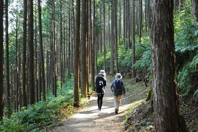 Kumano Kodo Pilgrimage Full-Day Private Trip with Government Licensed Guide - Who Should Consider This Tour?