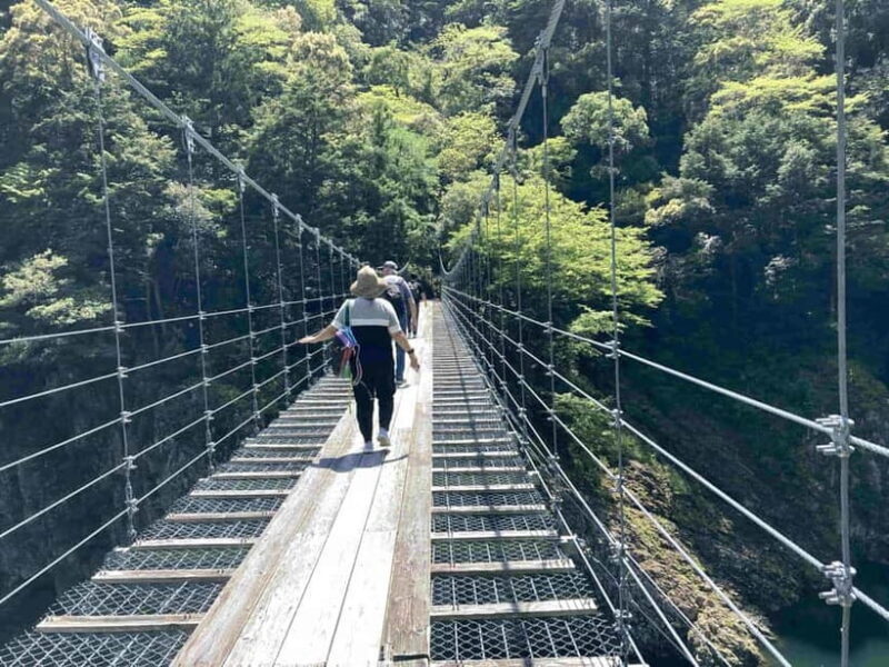 Kumano Kodo Pilgrimage Tour with Licensed Guide & Vehicle - Introduction: What’s the Tour All About?