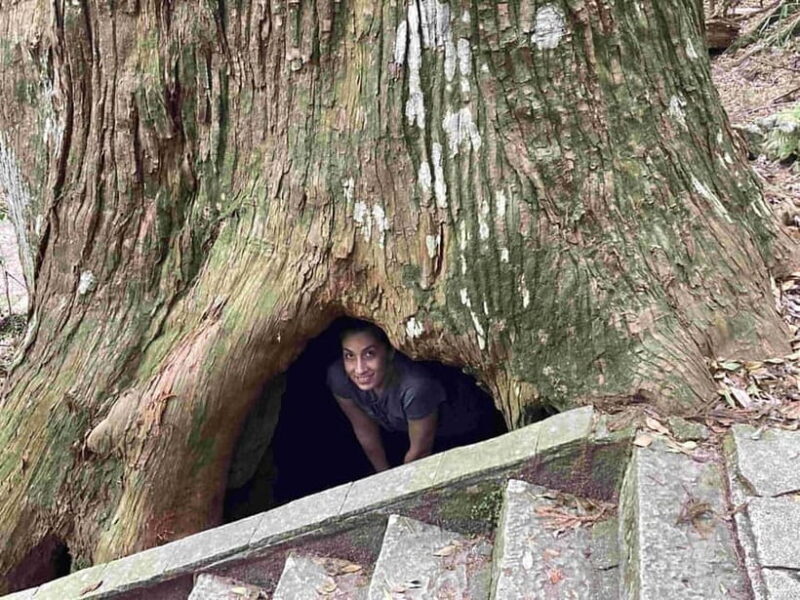 Kumano Kodo Pilgrimage Tour with Licensed Guide & Vehicle - Cost and Value