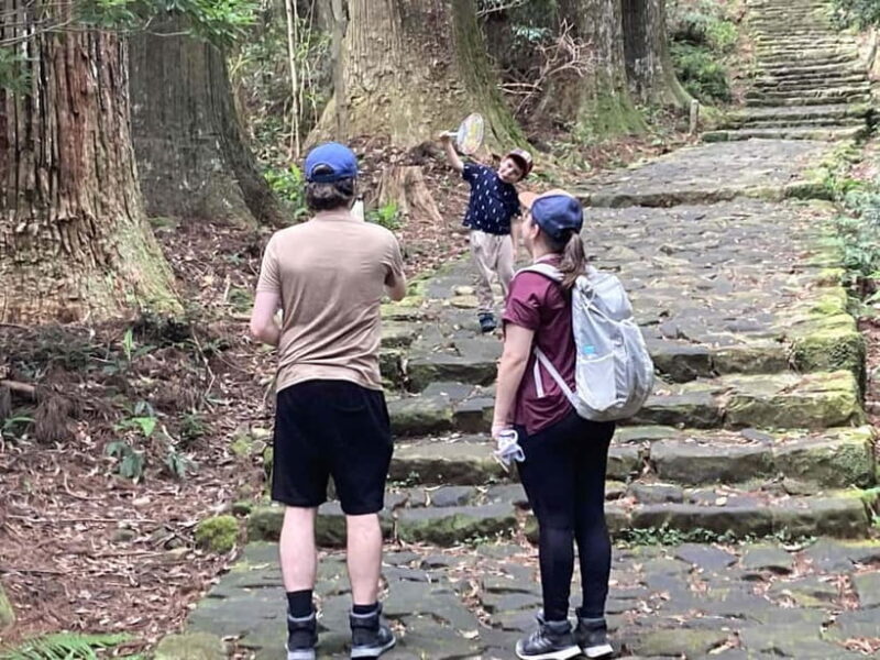 Kumano Kodo Pilgrimage Tour with Licensed Guide & Vehicle - Who Should Consider This Tour?