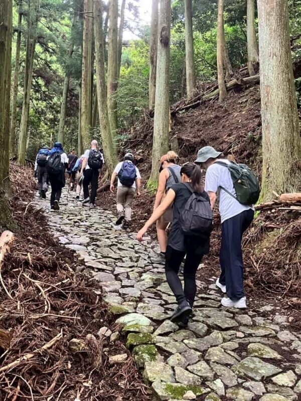 Kumano Kodo: Shishigase Pass Hike and Hot Spring Tour - The Itinerary: A Closer Look