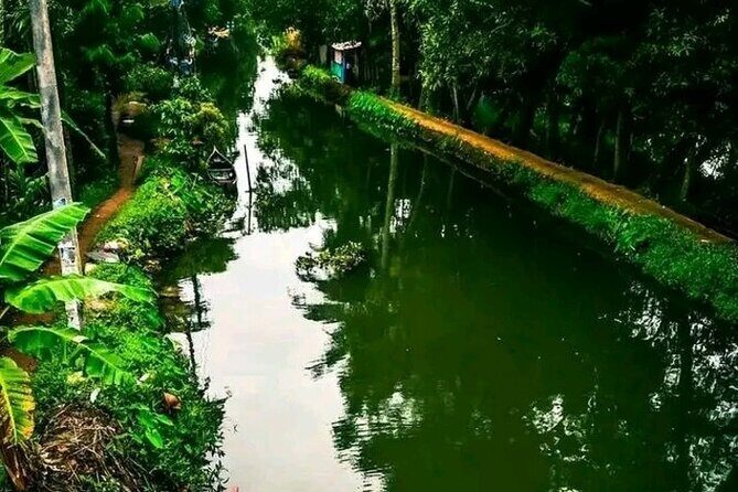 Kumarakom Explore Backwaters & Birds at Coconut Lagoon Pick&Drop - Key Points