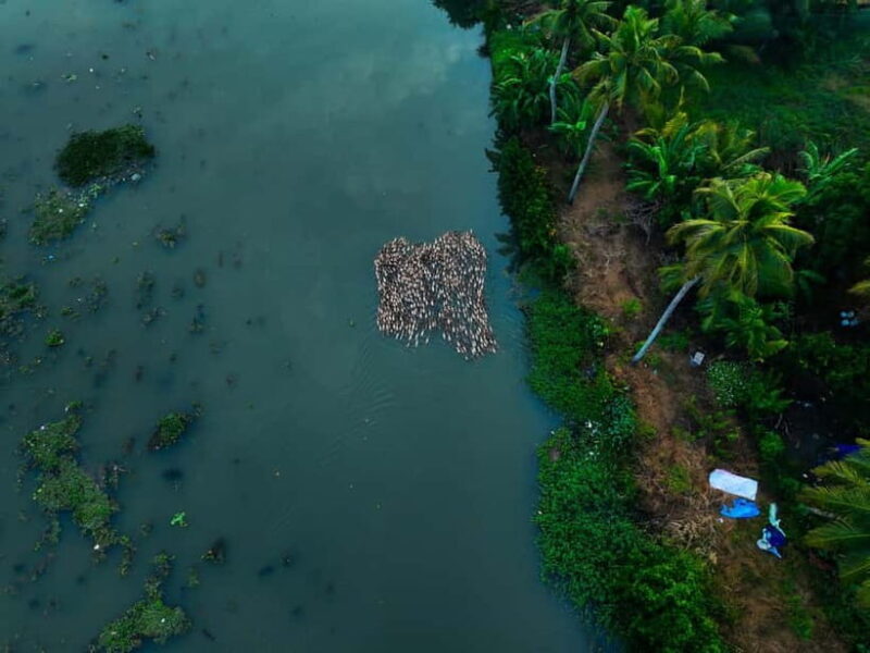 Kumarakom: Sunset Cruise with Village Life and Local Food - Key Points