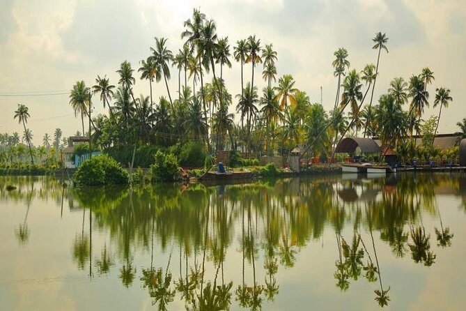 Kumbalangi Village Sightseeing Tour - What to Expect on the Kumbalangi Village Sightseeing Tour
