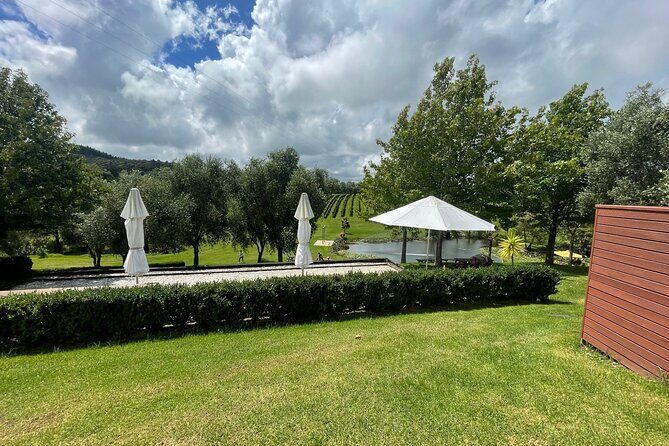 Kumeu Wine Tour - Who Will Love This Tour?