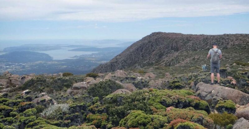 Kunanyi & Mt Wellington Explorer Bus: One-Way Bus Pass - The Scenic Journey Upward