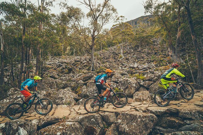 kunanyi/Mt Wellington Explorer Bus - One Way Tour - Transport, Timing, and Group Size
