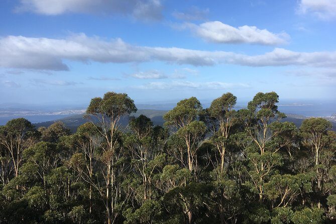 kunanyi/Mt Wellington Explorer Bus - One Way Tour - Who Is This Tour Best Suited For?