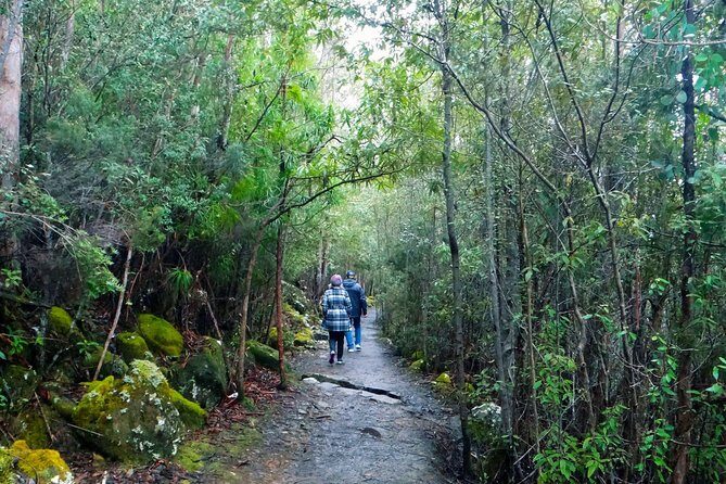 kunanyi/Mt Wellington Tour & Hobart Hop-On Hop-Off Bus - Authentic Experiences and Traveler Perspectives