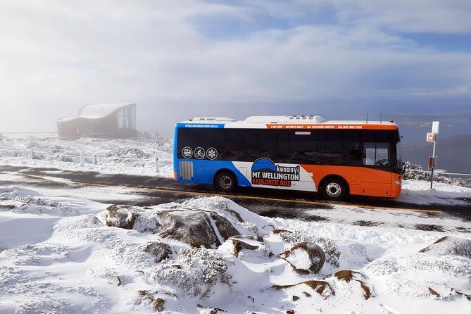 kunanyi/Mt Wellington Tour & Hobart Hop-On Hop-Off Bus - Practicalities and Tips