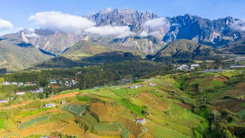 Kundasang: Day Tour with Desa Dairy Farm and Alpaca Club - Key Points