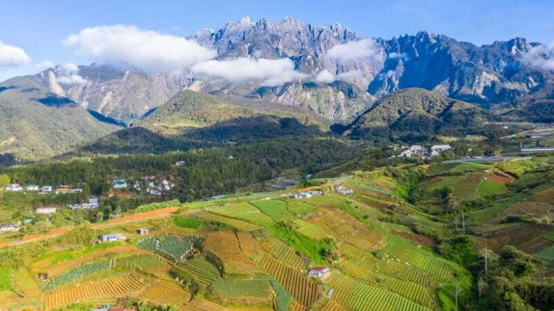 Kundasang: Day Tour with Desa Dairy Farm and Alpaca Club - Final Thoughts