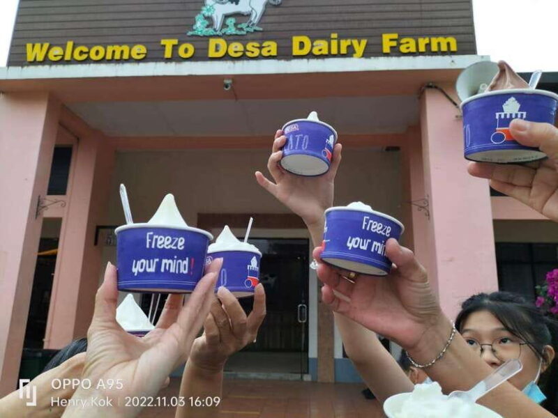 Kundasang : Poring Hot Spring + Desa & Meal Shared Tour - Key Points