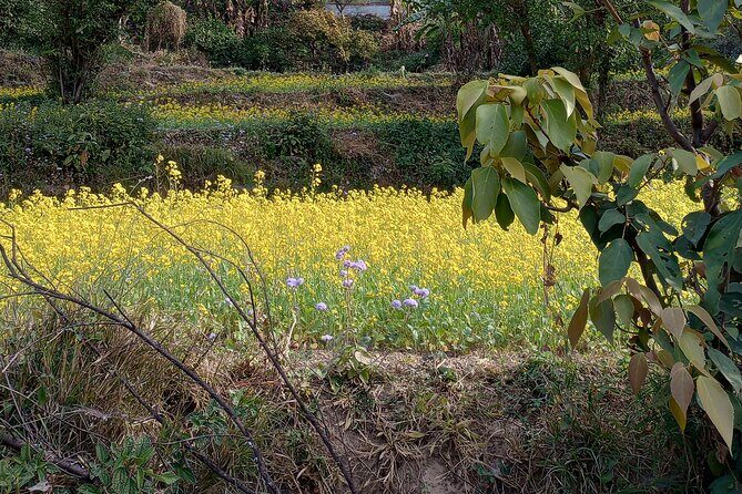 Kunjapuri Day Hike - The Sum Up: Who Is This Tour Perfect For?