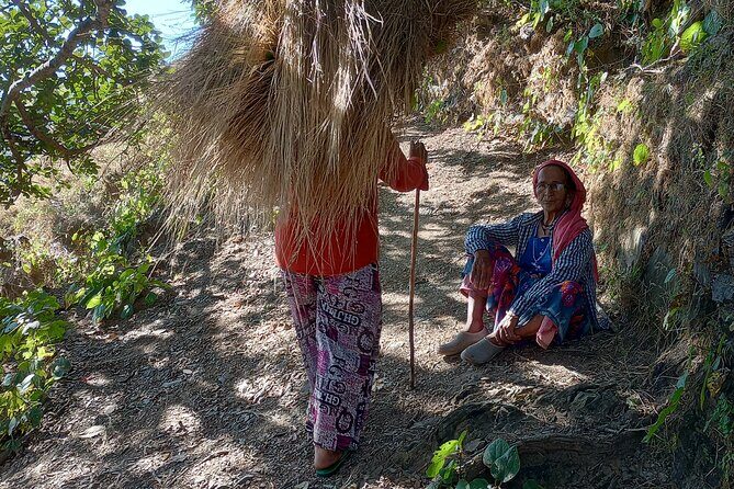 Kunjapuri Yoga Day Hike - The Full Experience of the Kunjapuri Yoga Day Hike