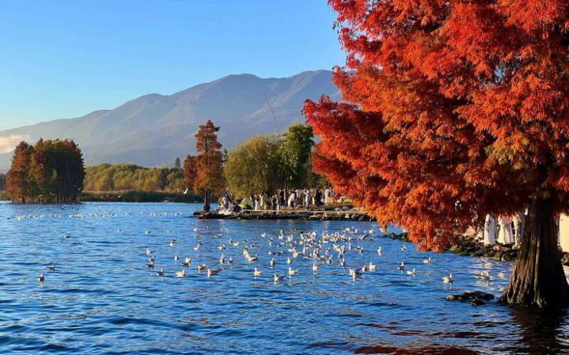 Kunming: 8-Day Yunnan Impression Tour - Who Will Love This Tour?