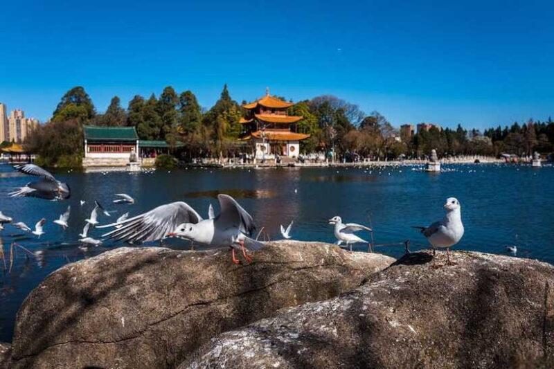 Kunming: 8-Day Yunnan Tour with Dali and Lijiang - Final Thoughts