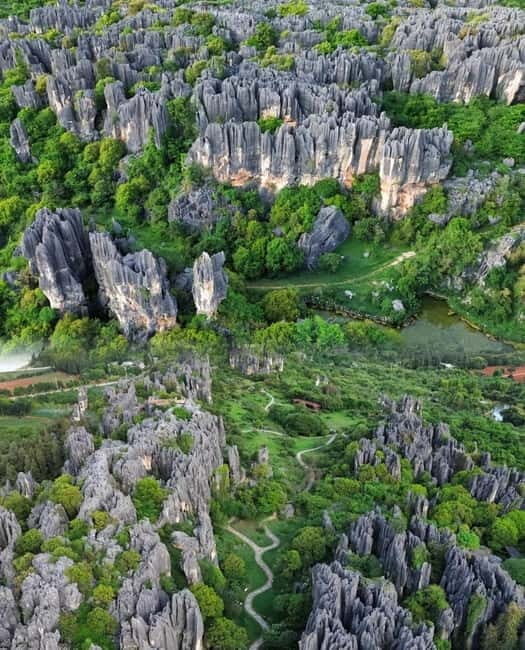 Kunming Day Tour: Stone Forest, Ethnic Park & Tie-Dye Craft - The Heart of the Tour: A Day Packed with Highlights