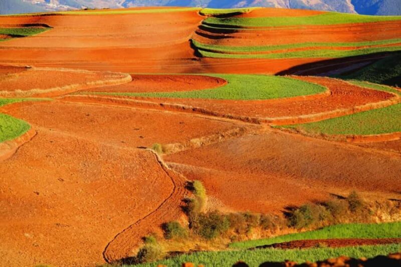 Kunming: Dongchuan Red Land Private Day Tour - An In-Depth Look at the Dongchuan Red Land Tour